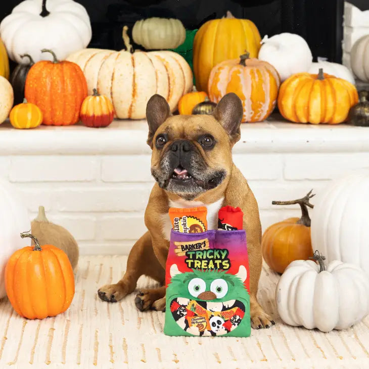 Hide - N - Seek Tricky Treats Plush Dog Toy Set – Spooky Pups